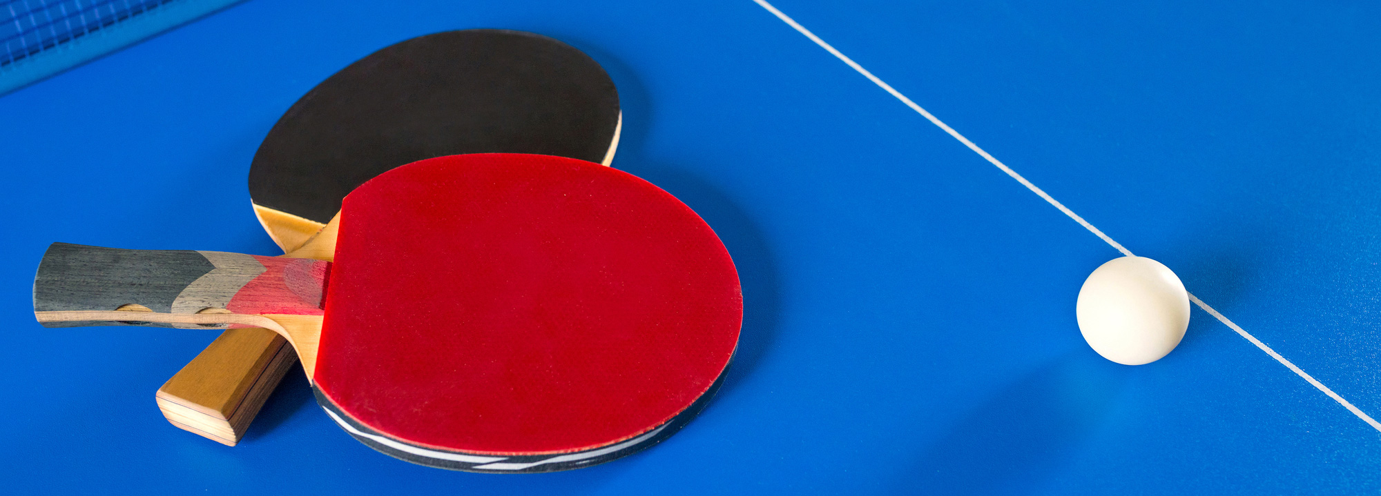 Table Tennis Lessons at Coal Harbour CC • West End Community Association
