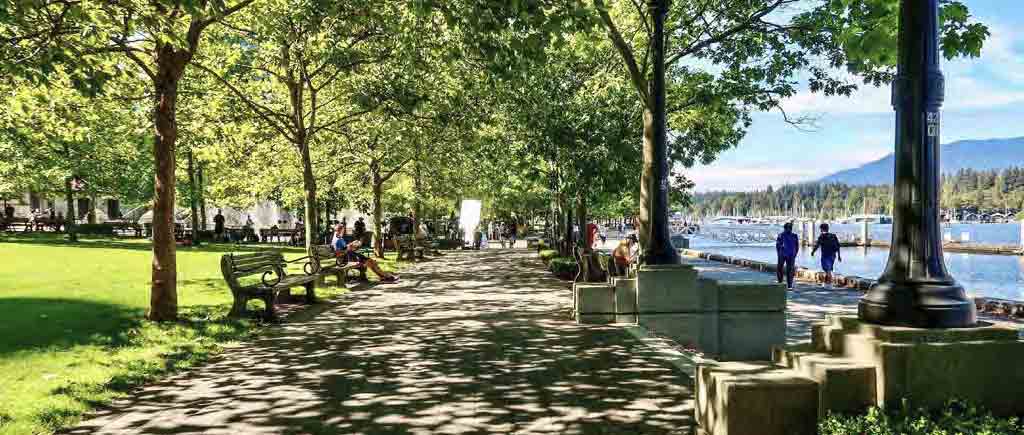 View our Summer Recreation Guide 2026 • West End Community Association